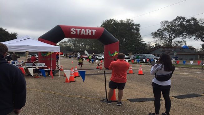 CAJUN COUNTRY RUN: Gator Head Trophies and more! | Mustang | Louisiana ...